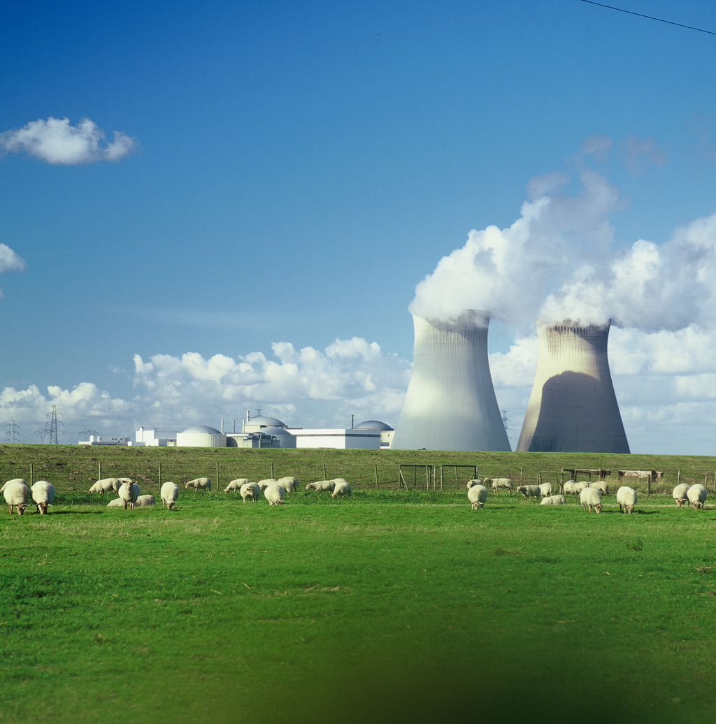 Supporting the timely restart of Doel 4 nuclear plant in Belgium ...